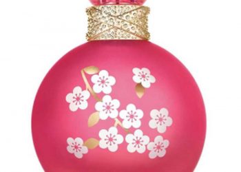 Britney Spears | Blog dos Perfumes