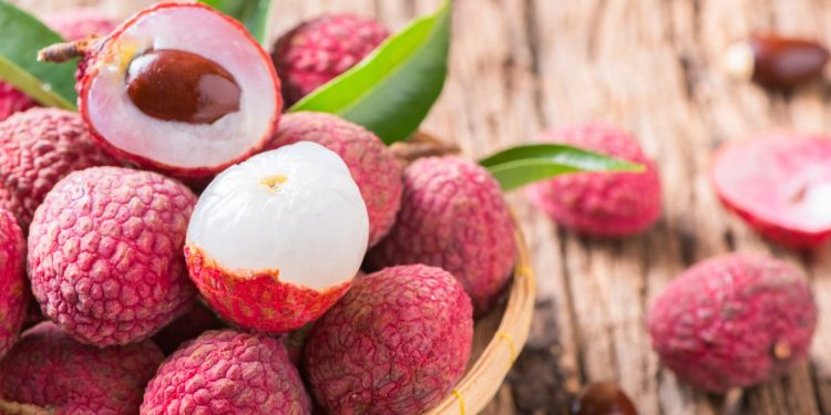 Da Fruta à Fragrância: A Lichia Chinesa e o Seu Papel Exótico no Mundo ...
